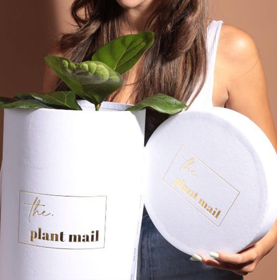 The Plant Mail